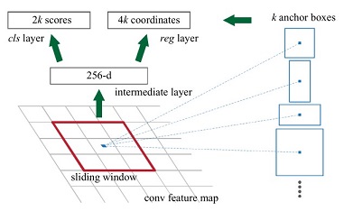 TorchVision을 사용한 Faster R-CNN(1) - Forte